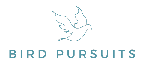 How Do Parrots See? Uncovering the Mysteries of Bird Sight ...