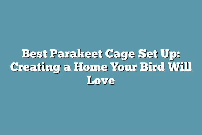 Best Parakeet Cage Set Up: Creating a Home Your Bird Will Love ...