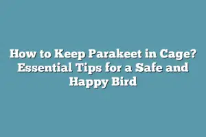 How to Keep Parakeet in Cage? Essential Tips for a Safe and Happy Bird – birdpursuits.com