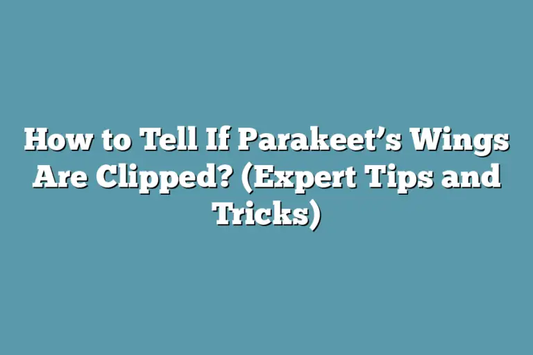How to Tell If Parakeet’s Wings Are Clipped? (Expert Tips and Tricks ...