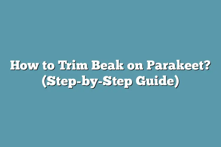 How to Trim Beak on Parakeet? (Step-by-Step Guide) – birdpursuits.com