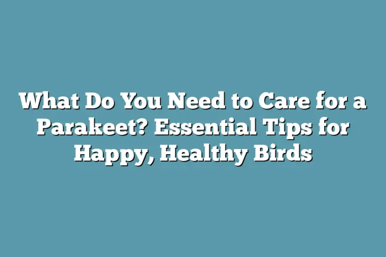 What Do You Need to Care for a Parakeet? Essential Tips for Happy ...