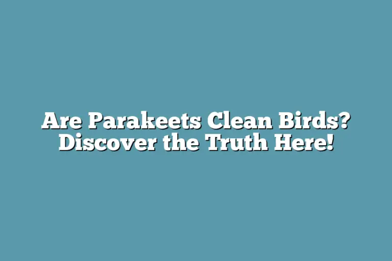 Are Parakeets Clean Birds? Discover the Truth Here! – birdpursuits.com