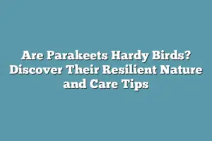 Are Parakeets Hardy Birds? Discover Their Resilient Nature and Care ...