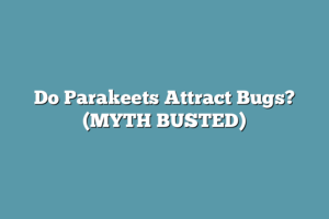 Do Parakeets Attract Bugs? (MYTH BUSTED) – birdpursuits.com