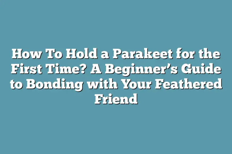 How To Hold a Parakeet for the First Time? A Beginner’s Guide to ...