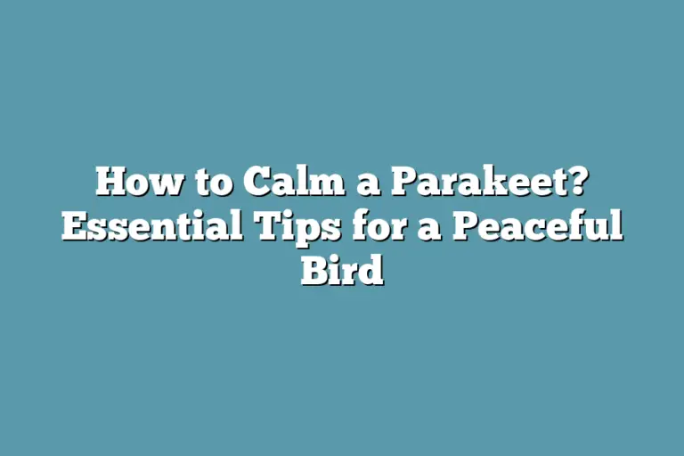 How to Calm a Parakeet? Essential Tips for a Peaceful Bird ...