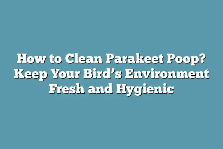 How to Clean Parakeet Poop? Keep Your Bird’s Environment Fresh and ...