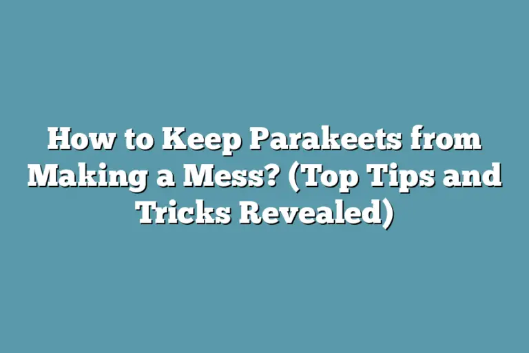 How to Keep Parakeets from Making a Mess? (Top Tips and Tricks Revealed ...