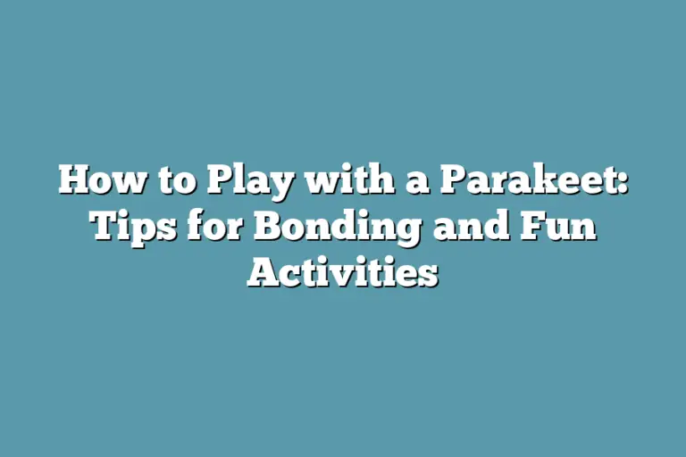 How to Play with a Parakeet: Tips for Bonding and Fun Activities ...