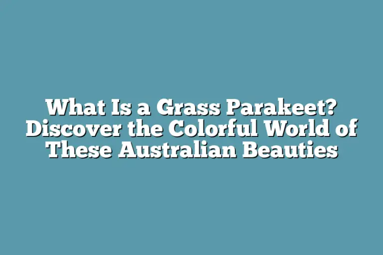 What Is a Grass Parakeet? Discover the Colorful World of These ...