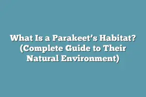 What Is a Parakeet’s Habitat? (Complete Guide to Their Natural ...