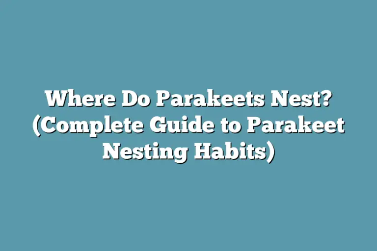 Where Do Parakeets Nest? (Complete Guide to Parakeet Nesting Habits) – birdpursuits.com