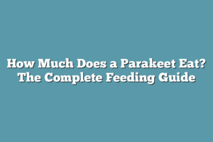 How Much Does a Parakeet Eat? The Complete Feeding Guide – birdpursuits.com