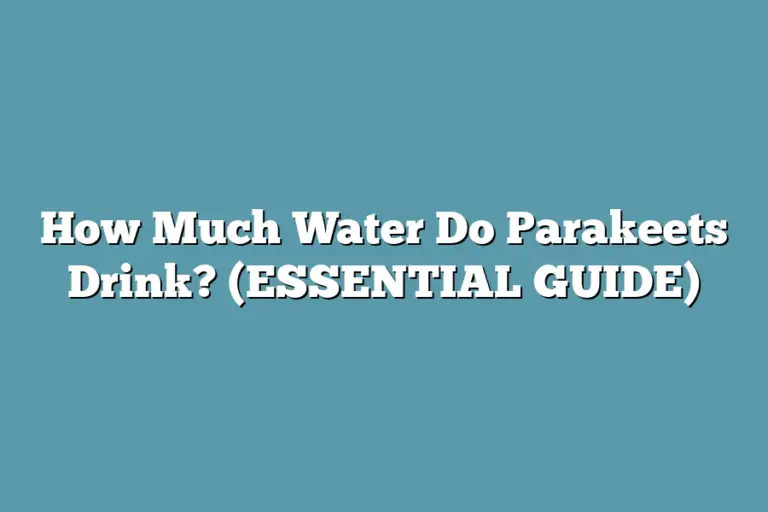 How Much Water Do Parakeets Drink? (ESSENTIAL GUIDE) – birdpursuits.com