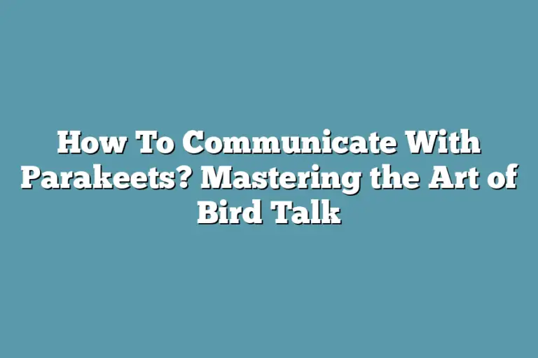 How To Communicate With Parakeets? Mastering the Art of Bird Talk ...