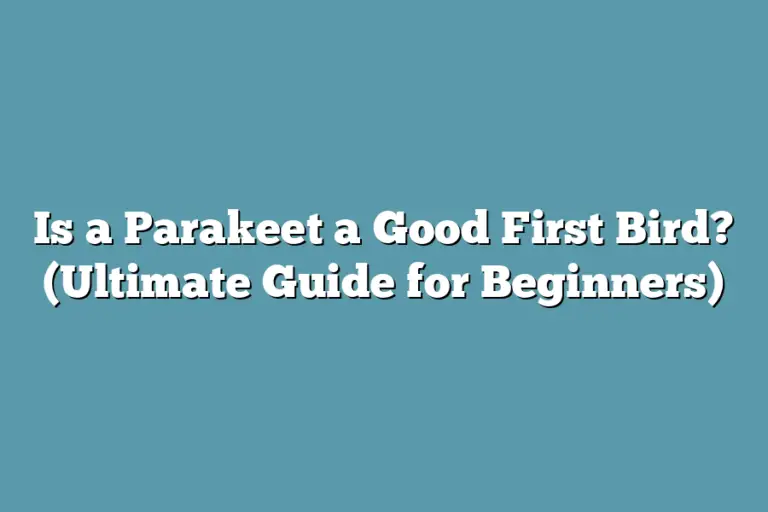 Is a Parakeet a Good First Bird? (Ultimate Guide for Beginners ...