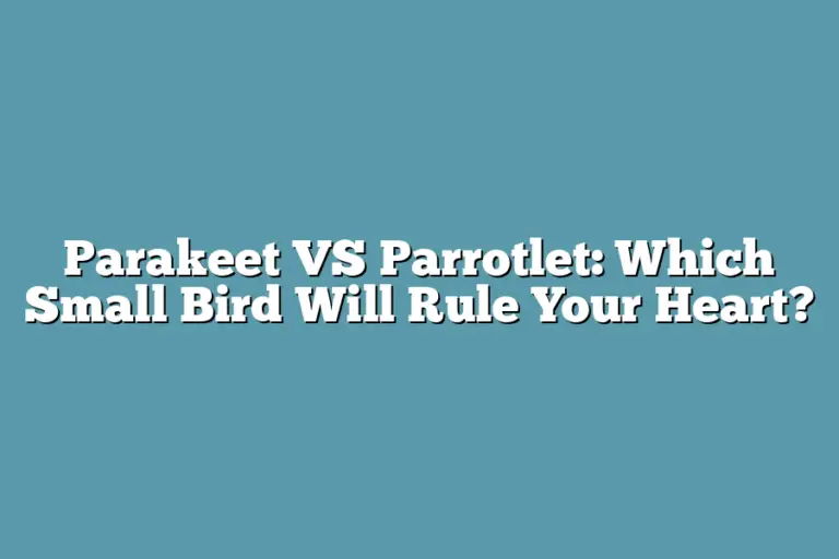 Parakeet VS Parrotlet: Which Small Bird Will Rule Your Heart ...