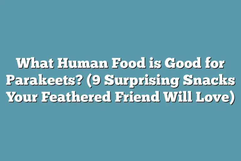 What Human Food is Good for Parakeets? (9 Surprising Snacks Your ...